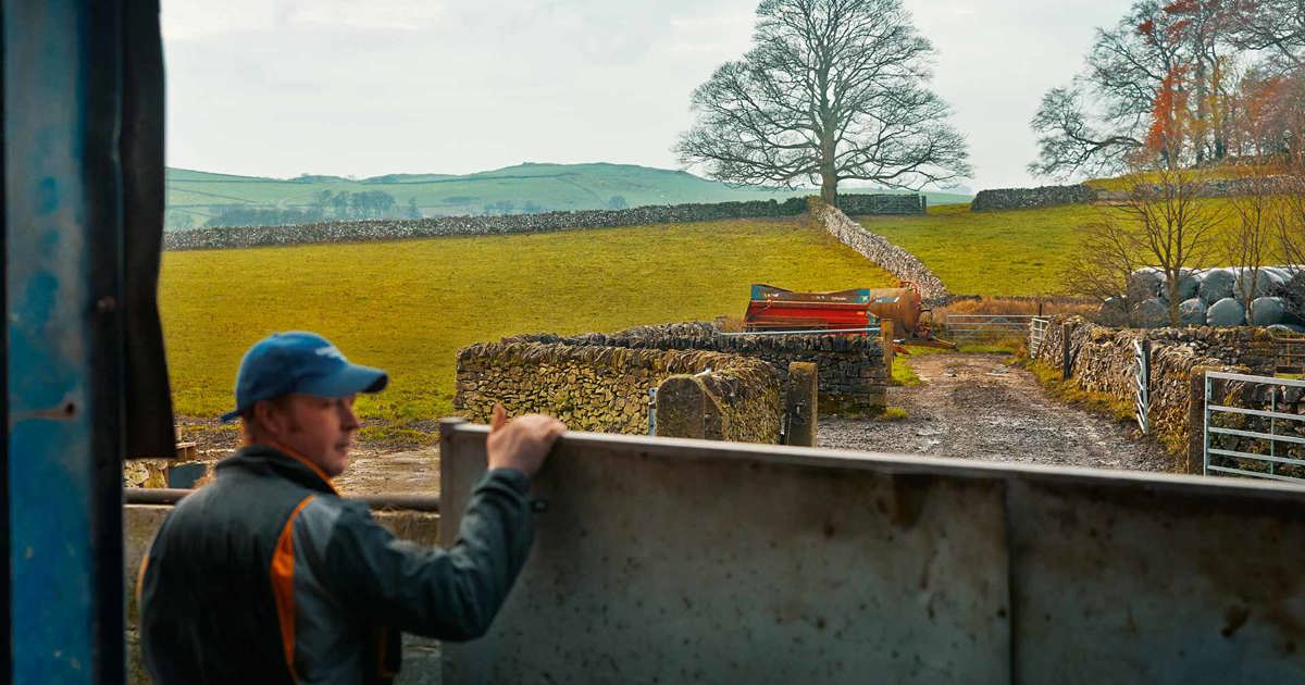 How we work | Arla Indonesia